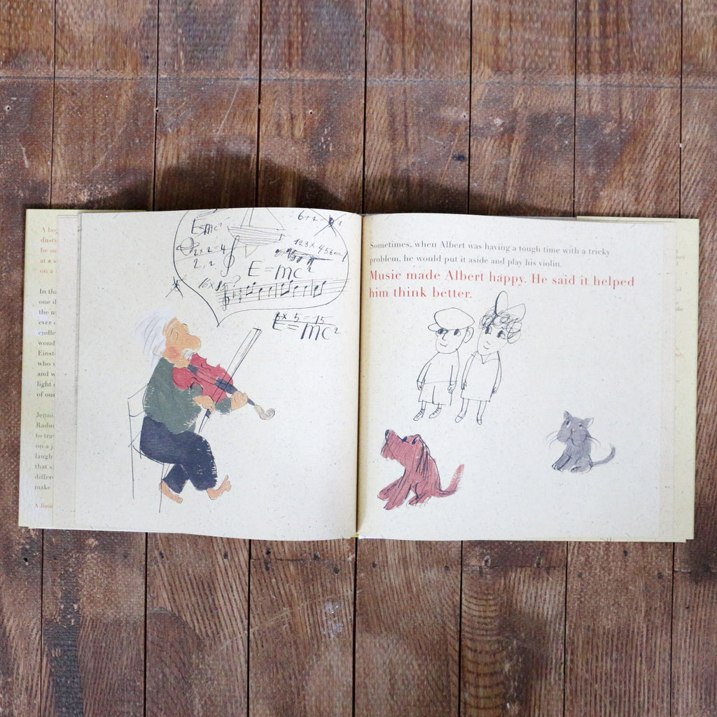 On a Beam Of Light: A story of Albert Einstein - Jennifer Berne ...